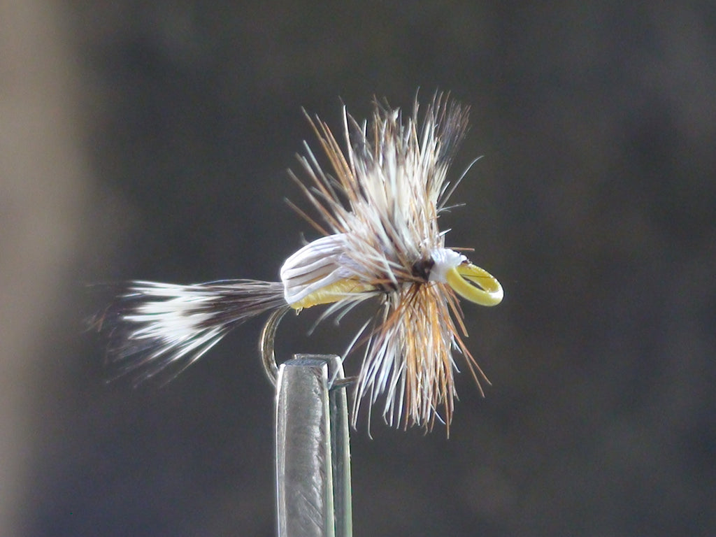 Painted Eyes – EZEYEFLY