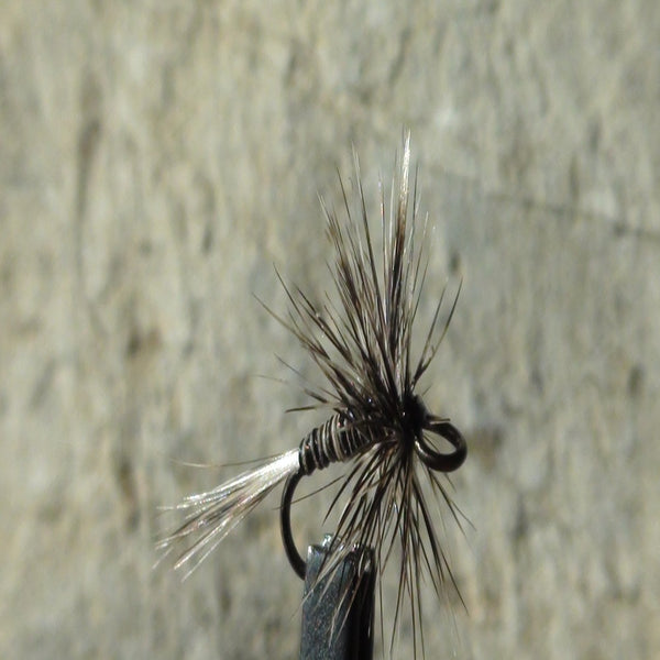 Midge Mosquito – EZEYEFLY