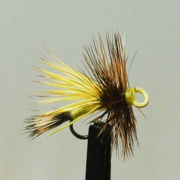 Little Yellow Stone Painted – EZEYEFLY