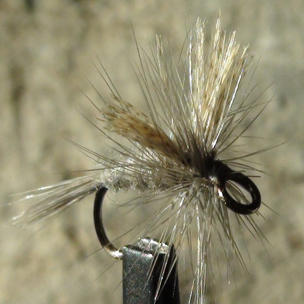 Dark Hendrickson – EZEYEFLY