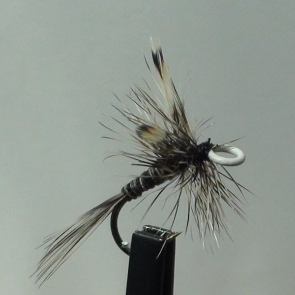 Mosquito Painted – EZEYEFLY