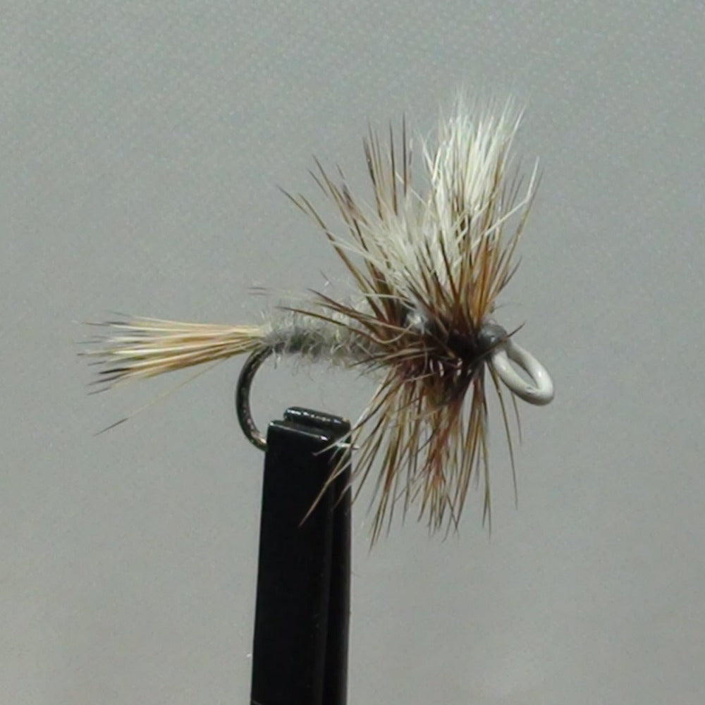 Products – EZEYEFLY