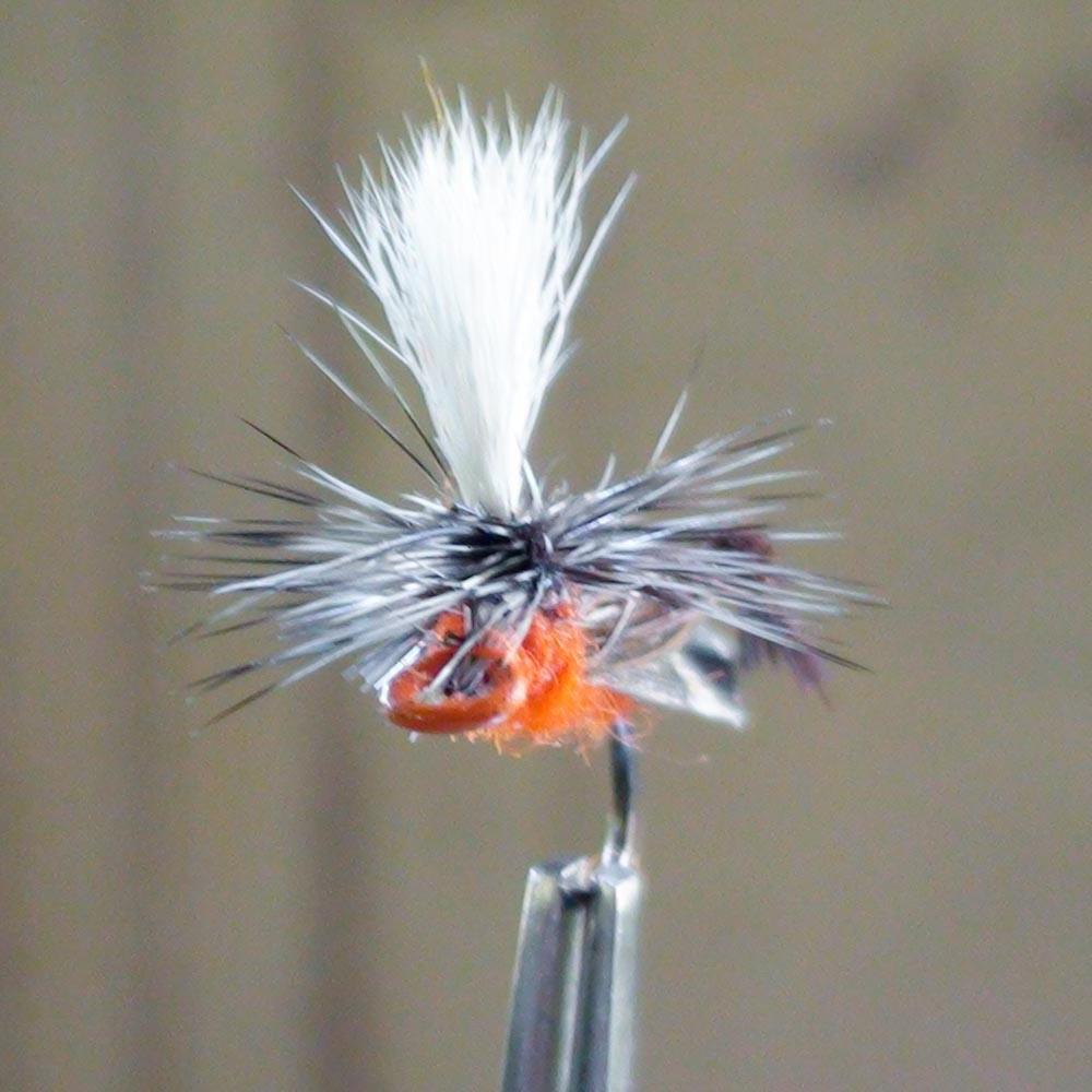 Terrestrials – EZEYEFLY