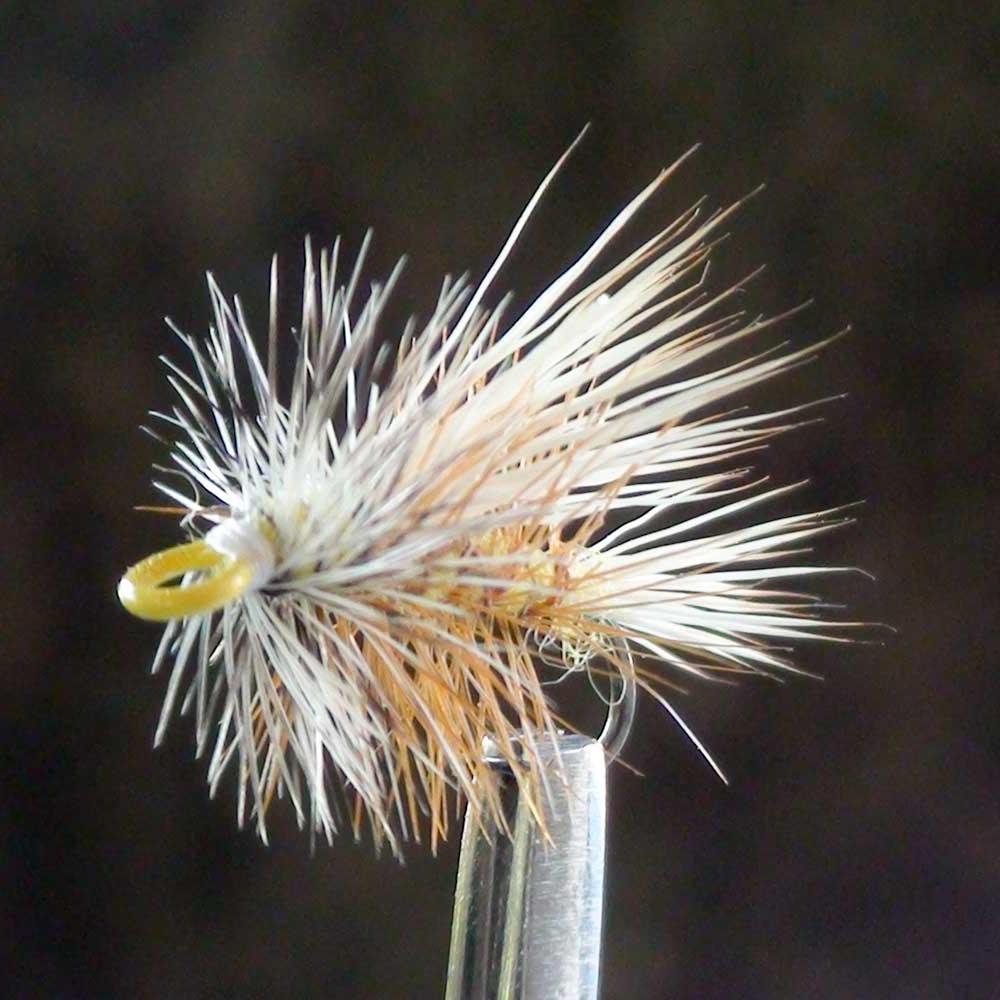 Terrestrials – EZEYEFLY