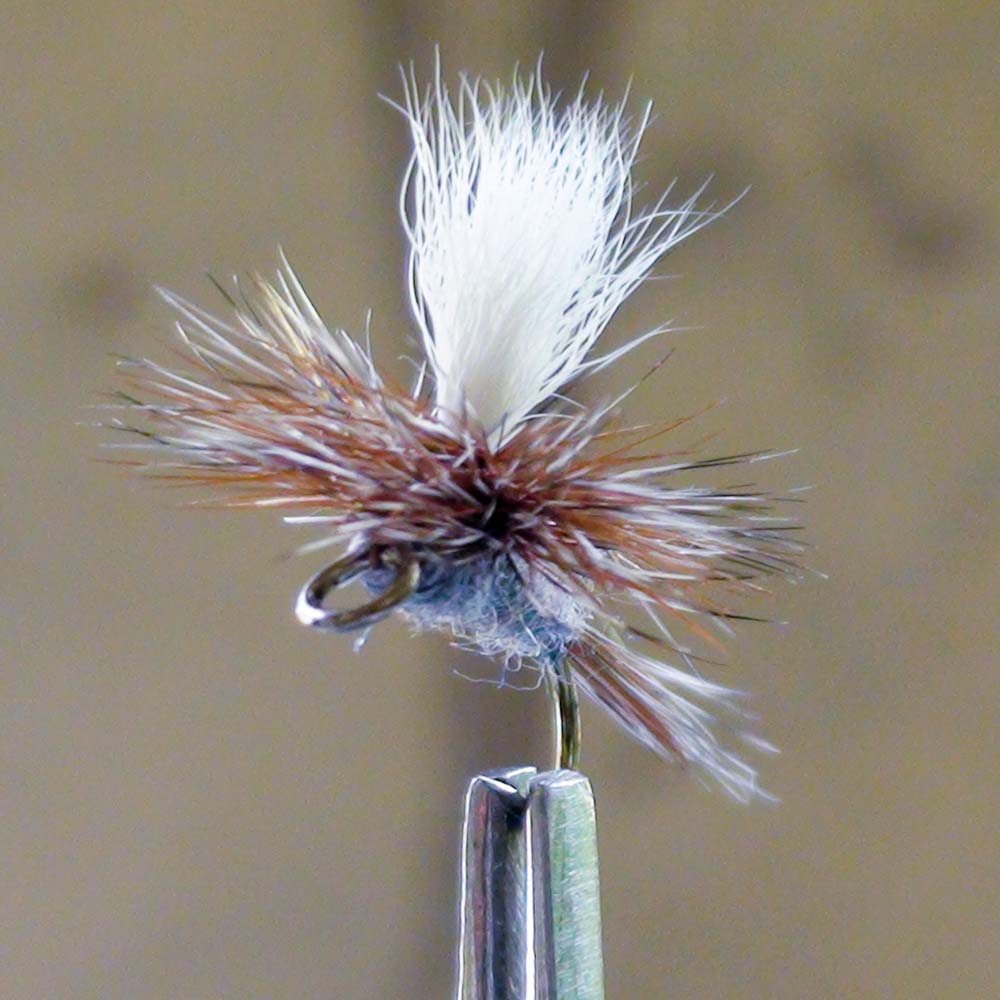 Dry Flies – EZEYEFLY