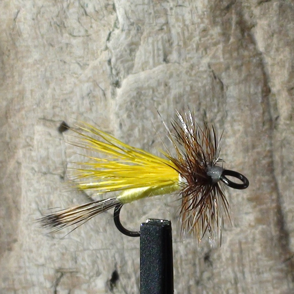 Terrestrials – EZEYEFLY